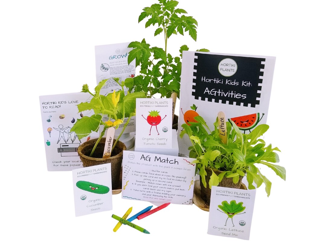 Kid Organic Garden Kit STEM Toy Educational Toy Science - Etsy