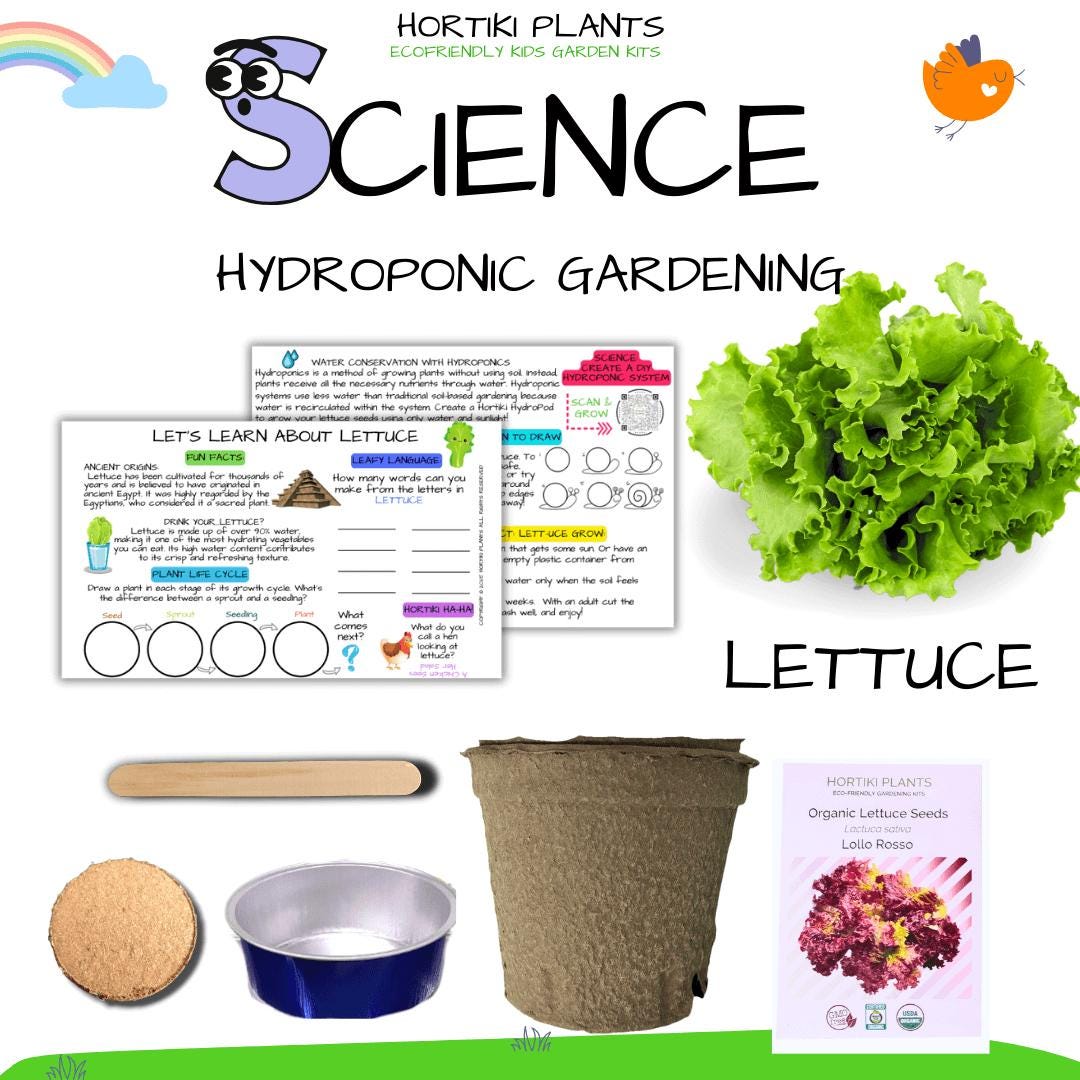 Lettuce Kids Grow Kit: Kids Garden Activity - Kids Plant Kit - STEAM ...