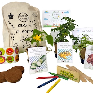 Kid Organic Garden Kit, STEM Toy, Educational Toy, Science Toy ...