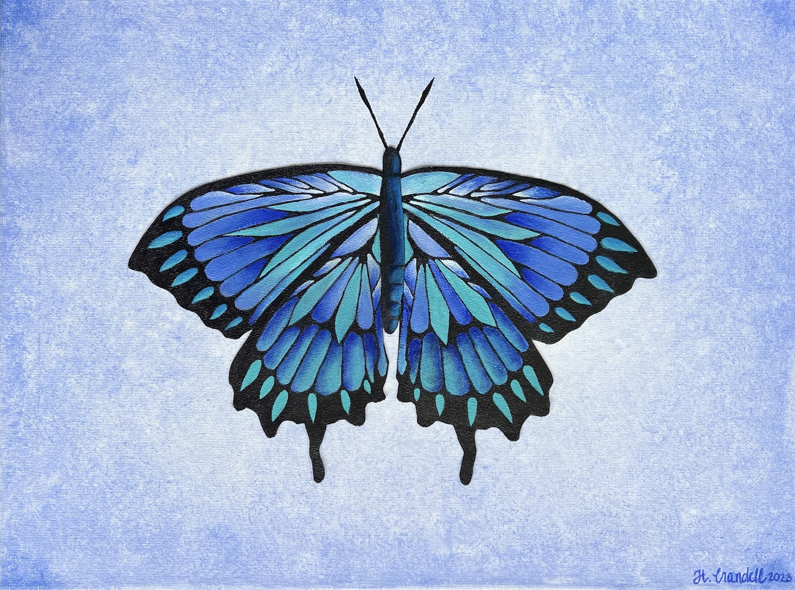 Blue Butterfly Fine Art Print, Butterfly Wall Art - Etsy