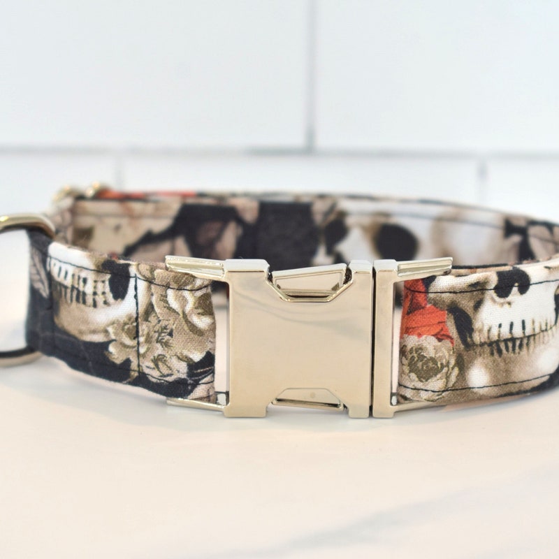 Skull Dog Collar - Etsy