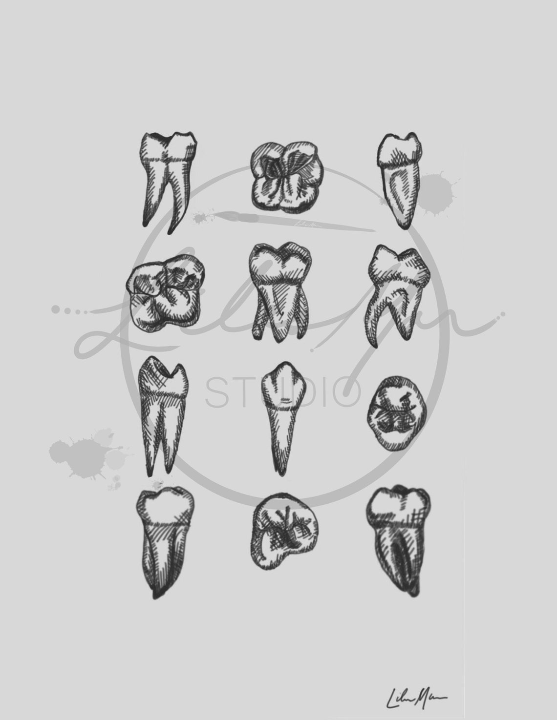 Anatomical Teeth Sketch | Digital Printable | Anatomical Artwork ...