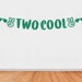 Two Cool Banner, Two Cool Party Decoration, Second Birthday Party, 2nd ...