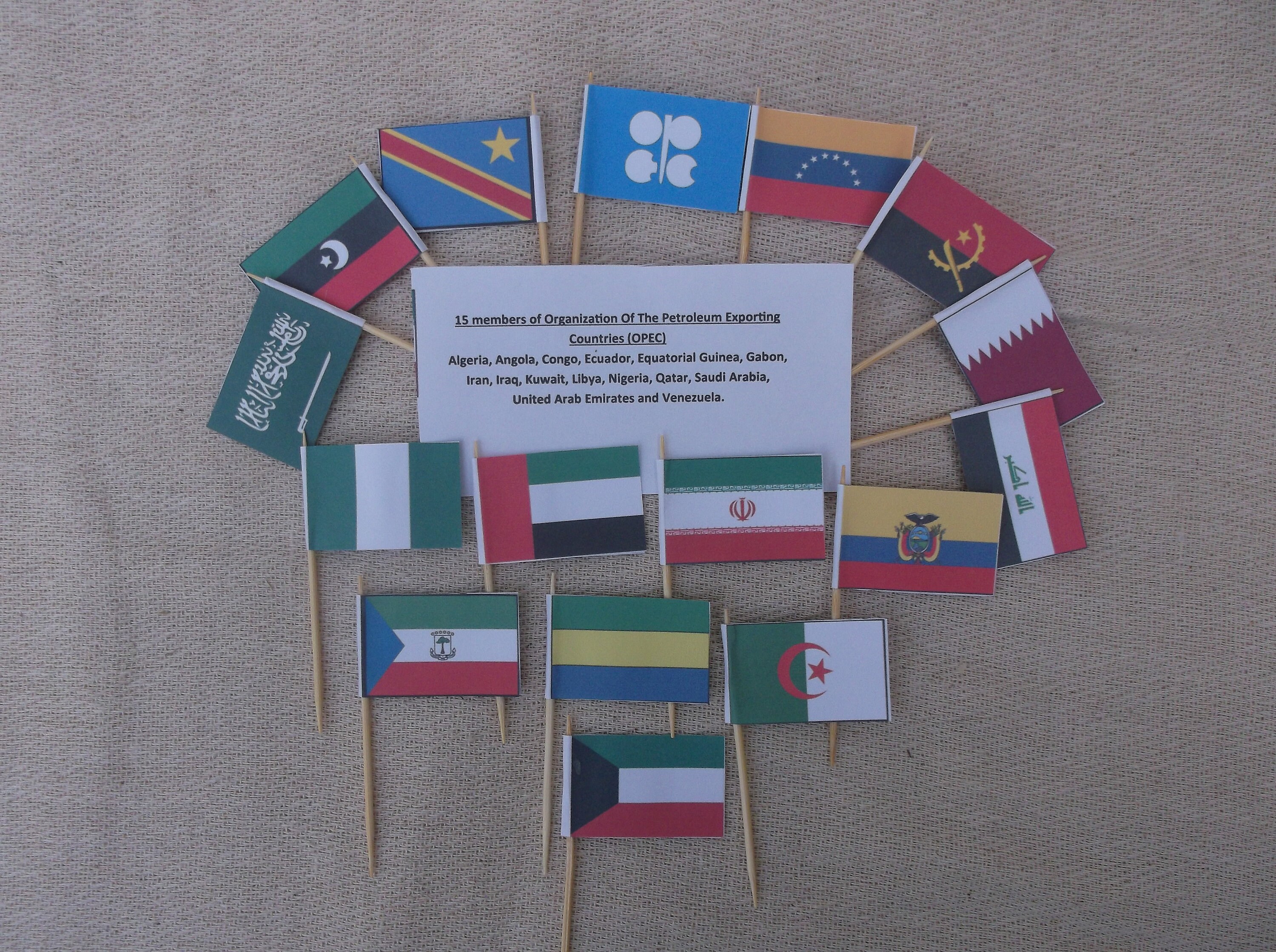 Cocktail Stick Flag Sets Mini Cake Flags Regional Flags | Etsy