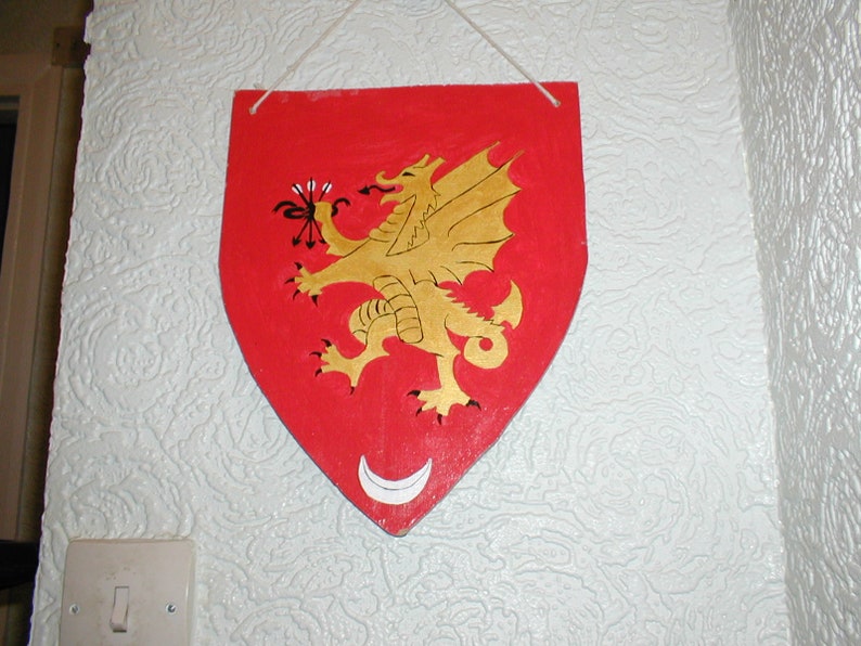 Small Heater Shield Plaque Decorative Flat Shield-shaped Wall | Etsy