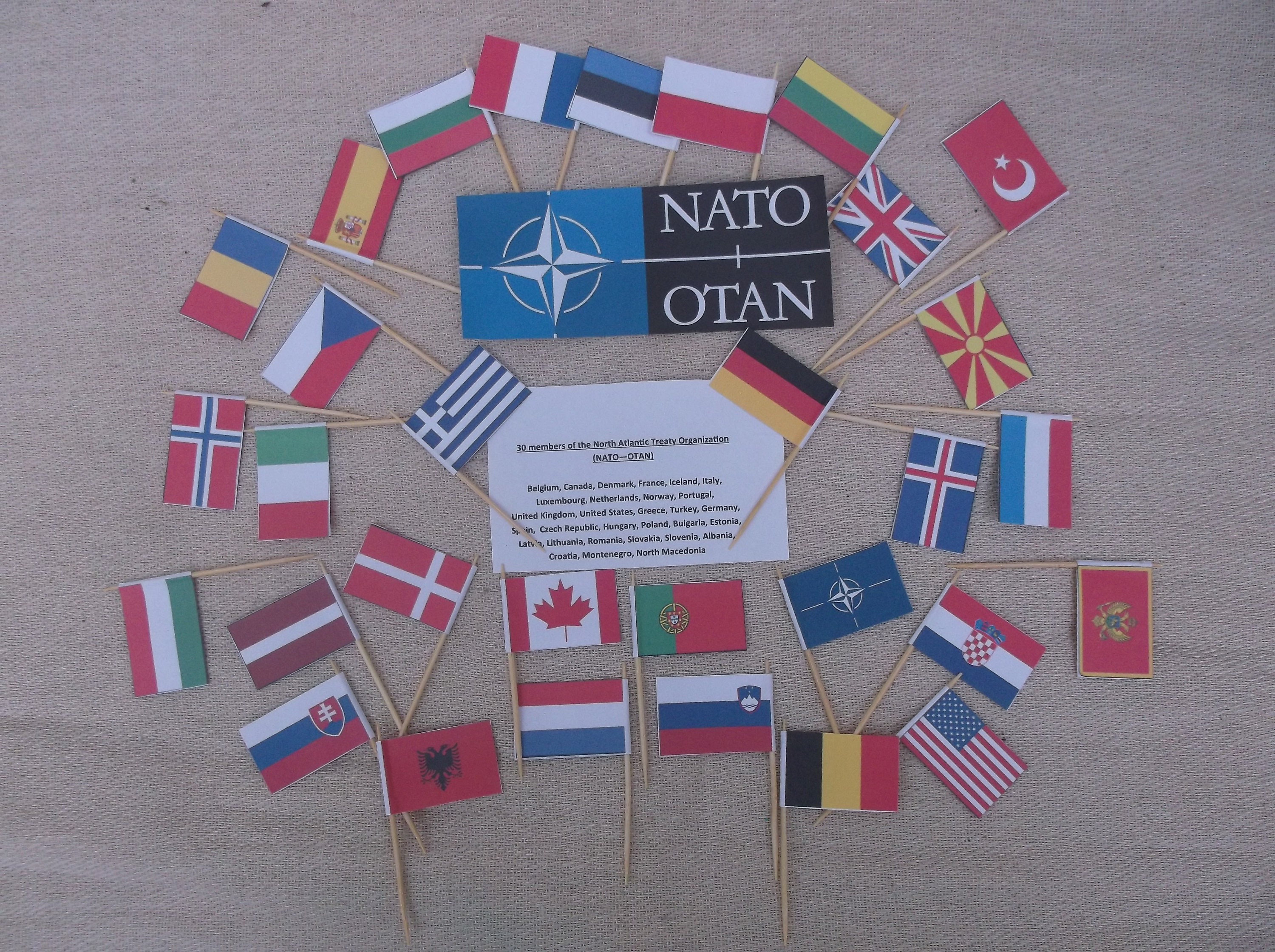 Cocktail Stick Flag Sets Mini Cake Flags Regional Flags - Etsy UK