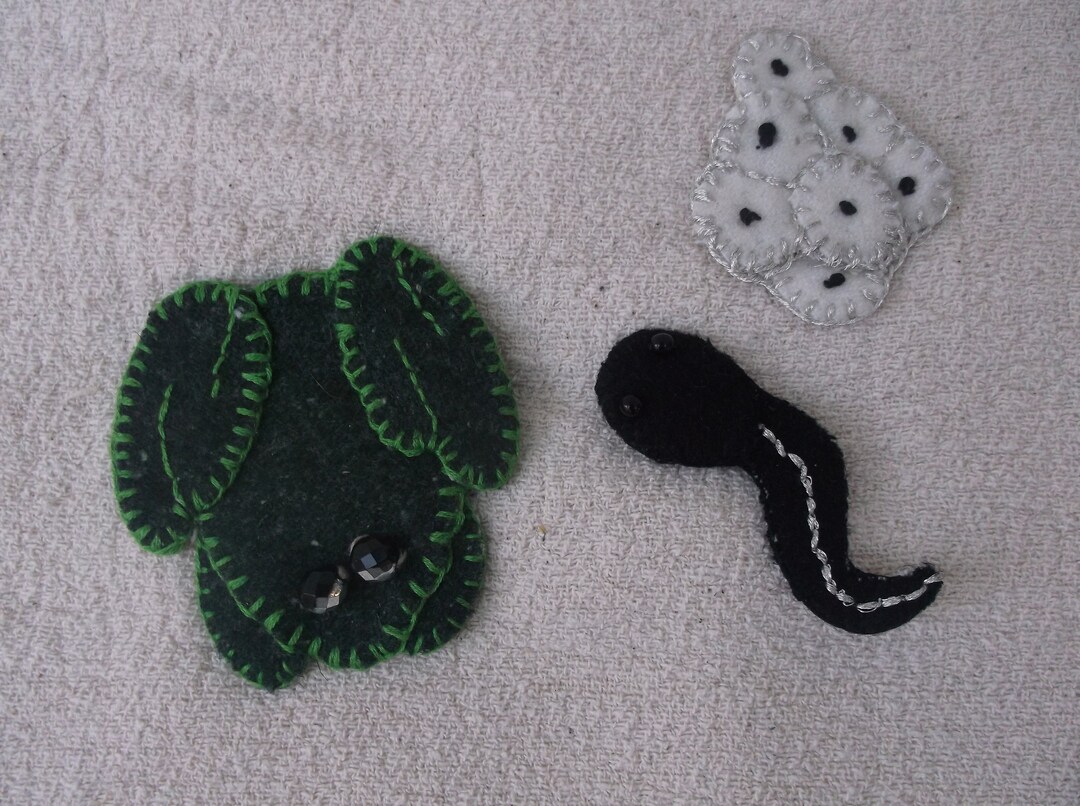 Life Cycle of a Frog, Fabric Frog, Cloth Tadpole, Hand Sewn Spawn ...