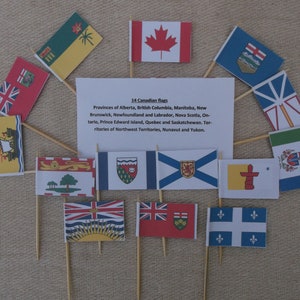 Cocktail Stick Flag Sets Mini Cake Flags Regional Flags - Etsy