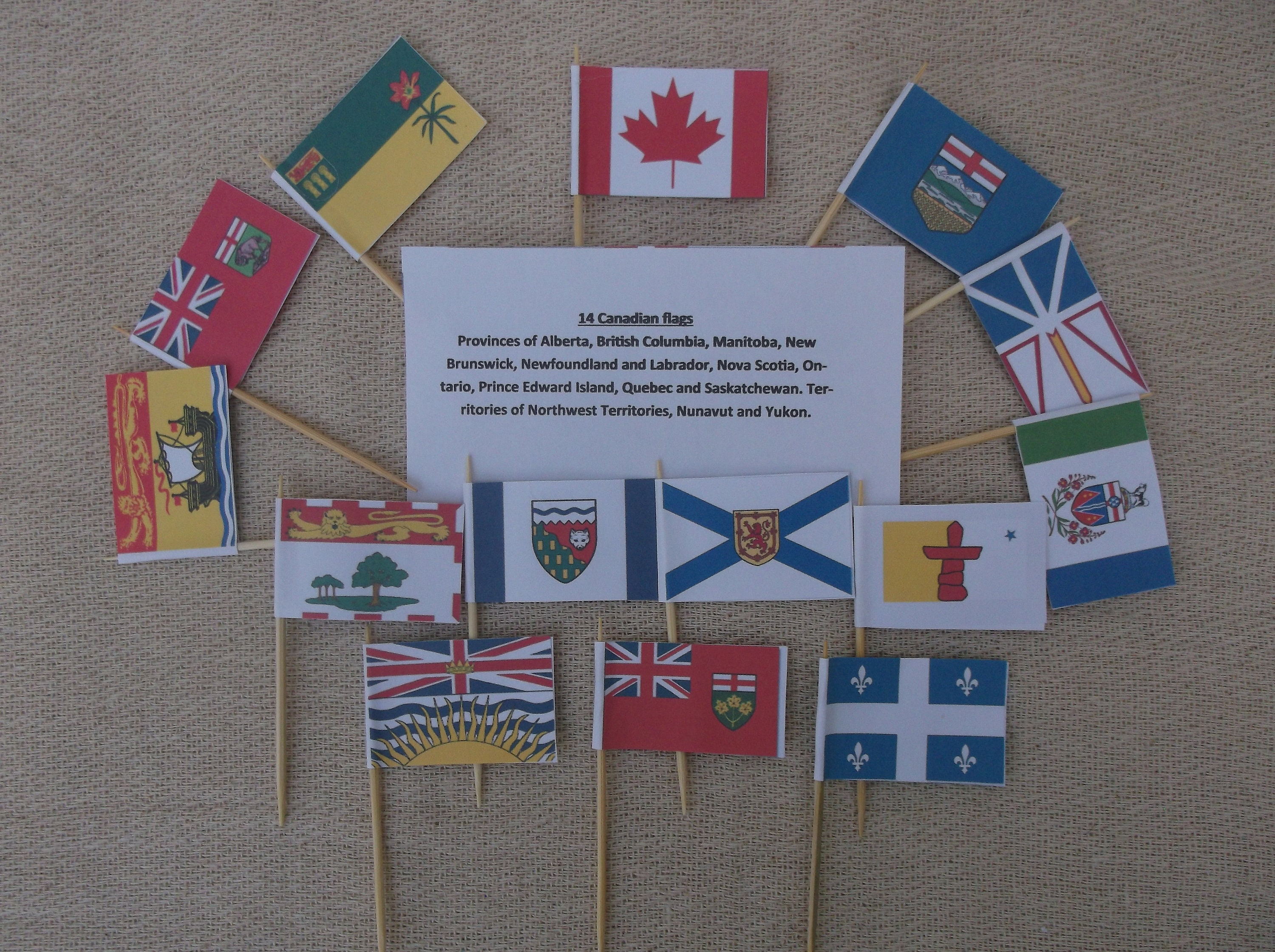 Cocktail Stick Flag Sets Mini Cake Flags Regional Flags | Etsy