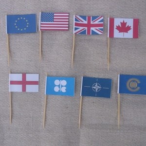 Cocktail Stick Flag Sets Mini Cake Flags Regional Flags - Etsy