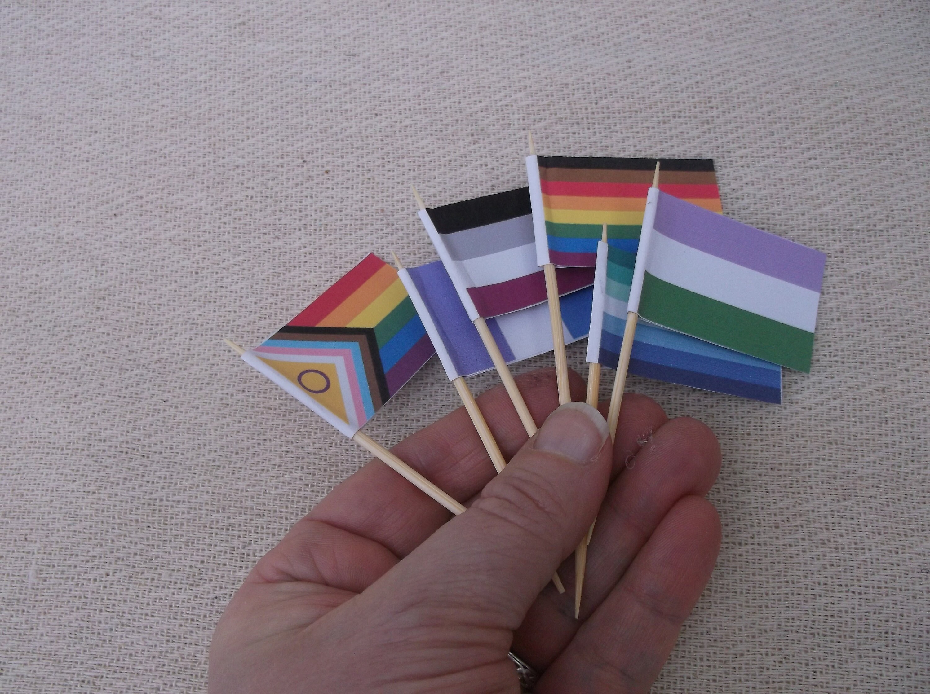 LGBTQ+ Mini Pride Flags: Cocktail & Cupcake Toppers - Etsy