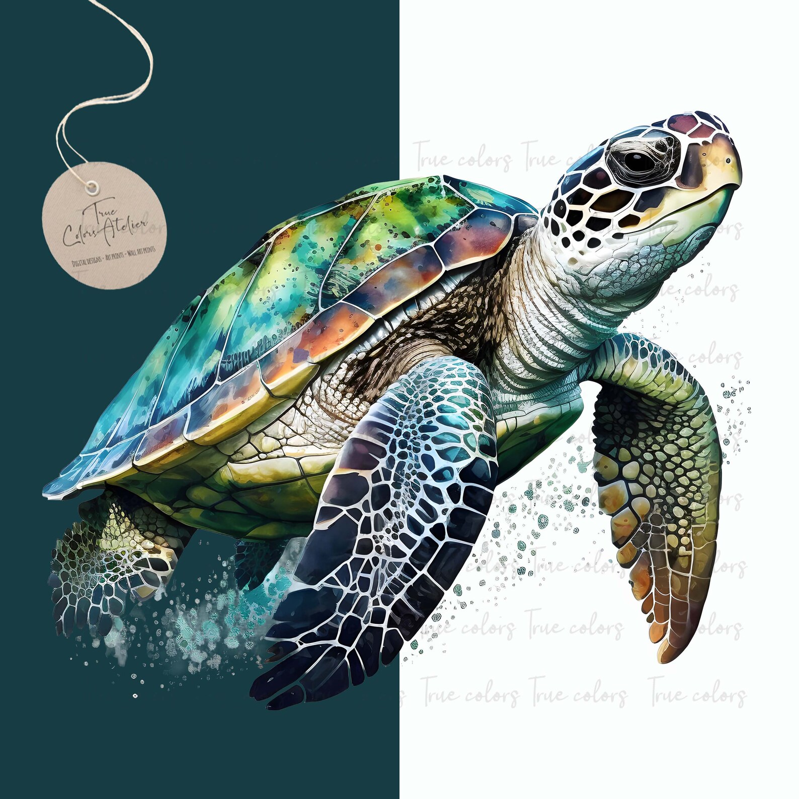 Watercolor Sea Turtle Clipart Cute Nautical Ocean Animals PNG Clip Art ...