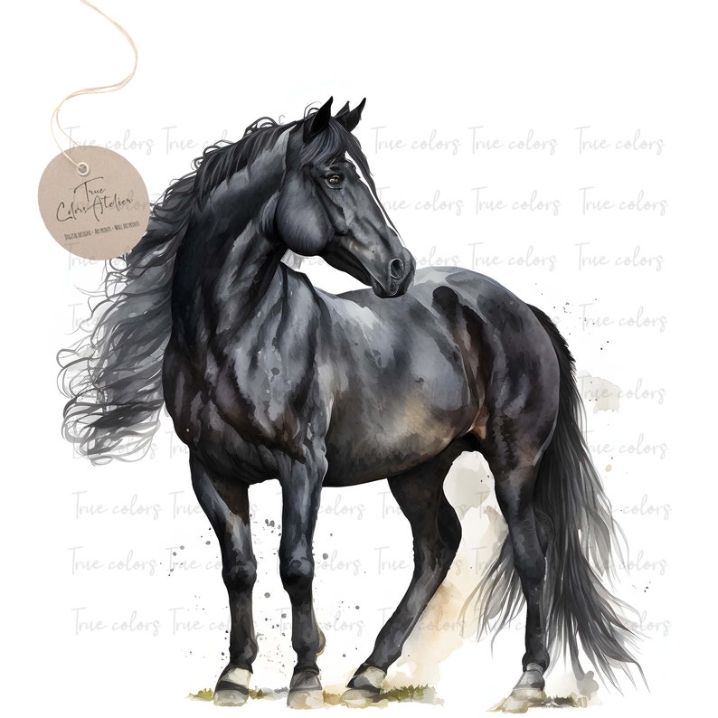 Black Horse Print,black Horse Clipart,commercial Use,digital Download ...