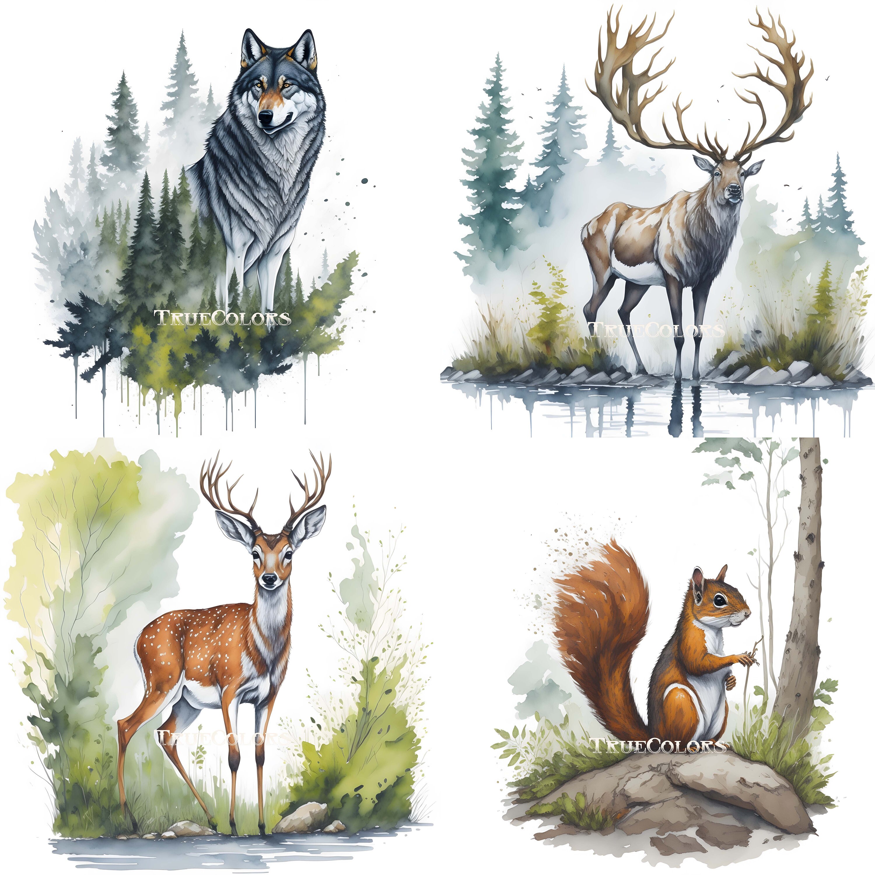 Forest Animals Clipart Illustrations of Woodland Animals in Png Format ...