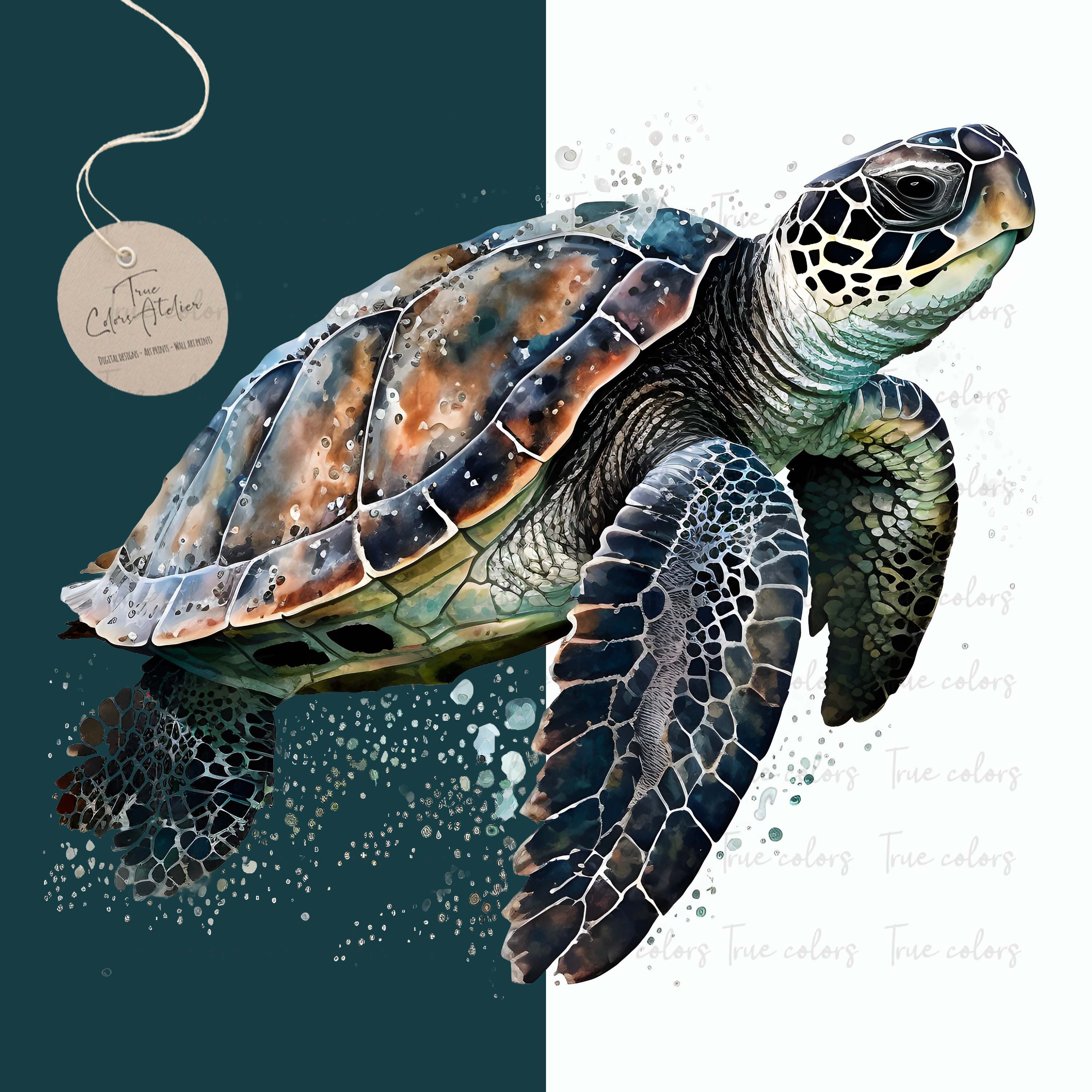 Watercolor Sea Turtle Clipart Cute Nautical Ocean Animals PNG Clip Art ...