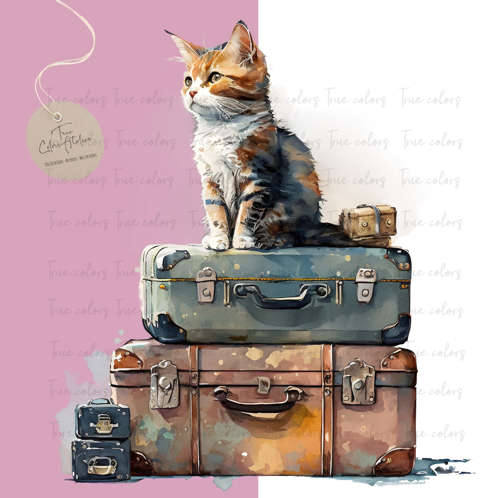A Cat Sitting Proudly on a Stack of Vintage Suitcases Cat and Suitcases ...
