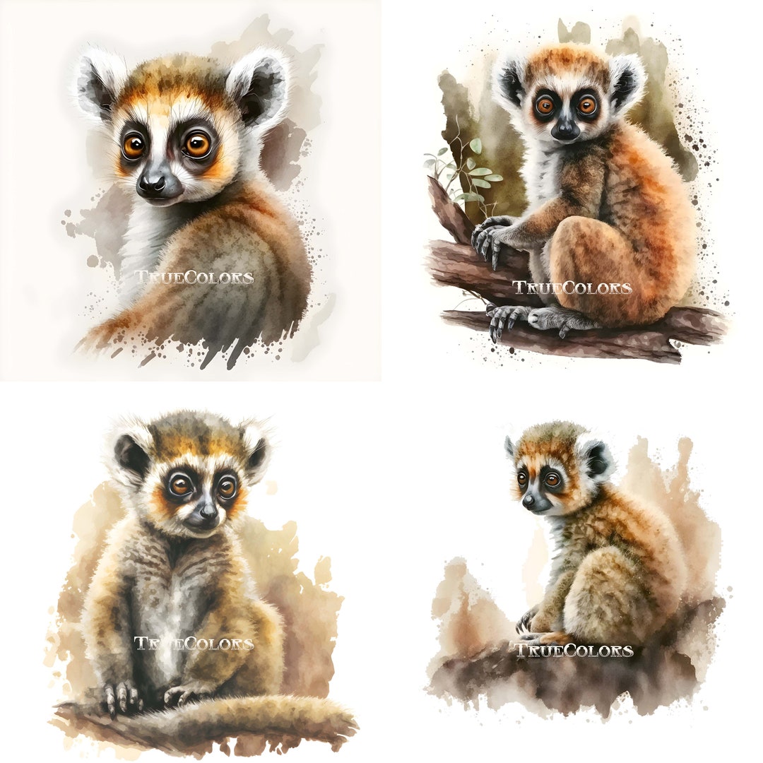 Lemur Print Madagascar Wildlife Jungle Decor Cute Lemur Watercolor ...