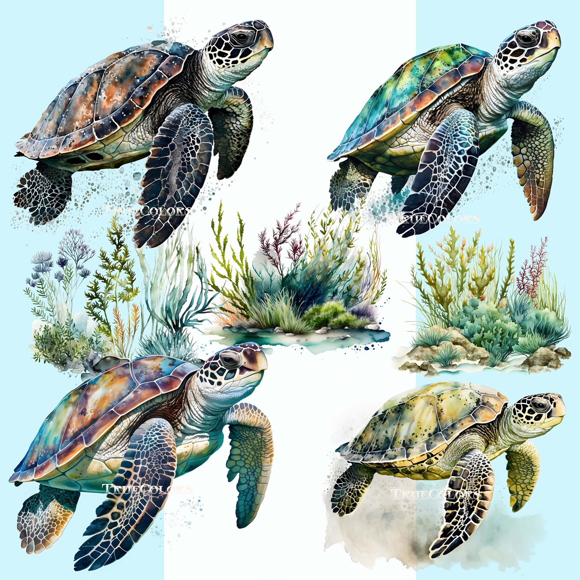 Watercolor Sea Turtle Clipart Cute Nautical Ocean Animals PNG Clip Art ...