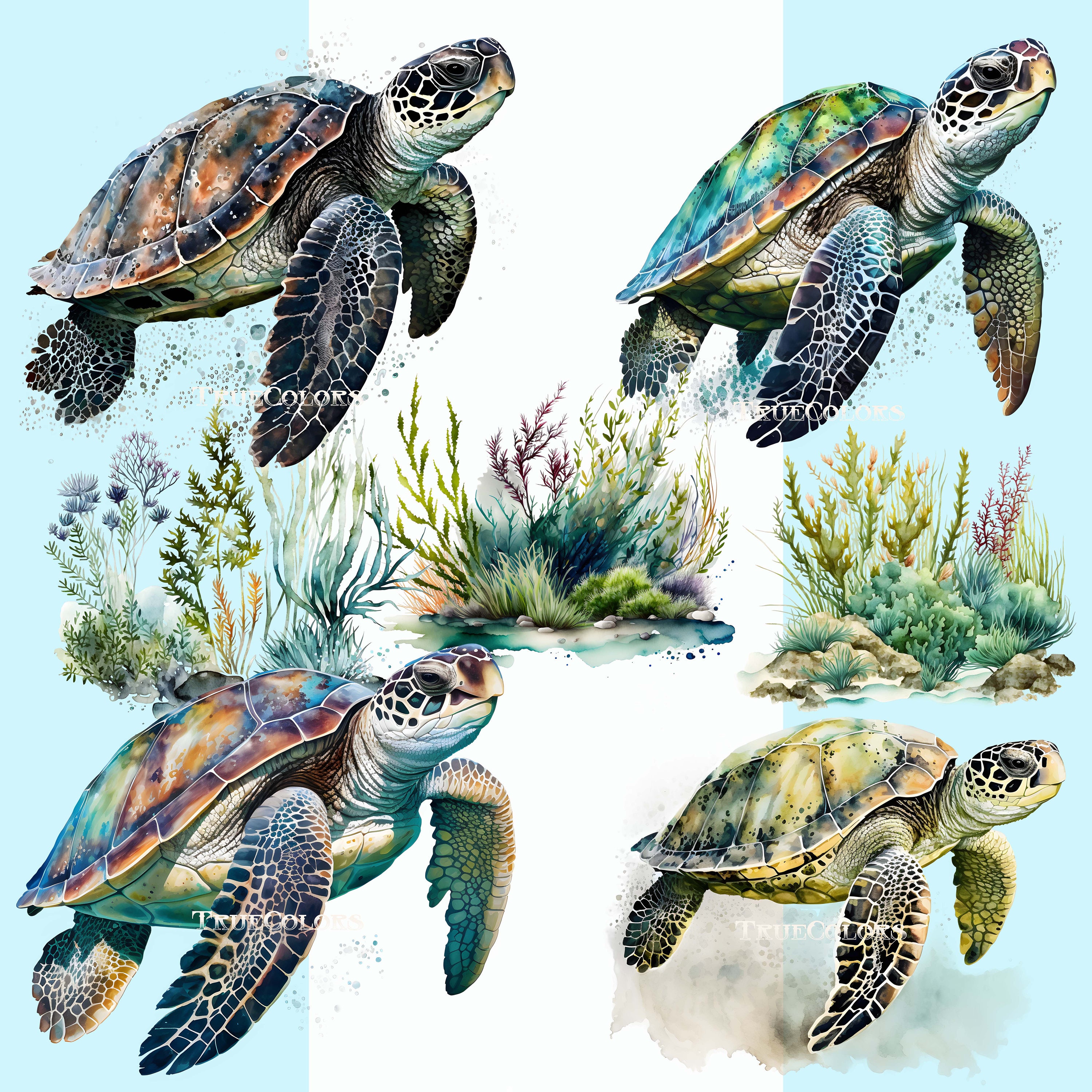 Watercolor Sea Turtle Clipart Cute Nautical Ocean Animals PNG Clip Art ...