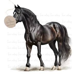 Black Horse Print,black Horse Clipart,commercial Use,digital Download ...