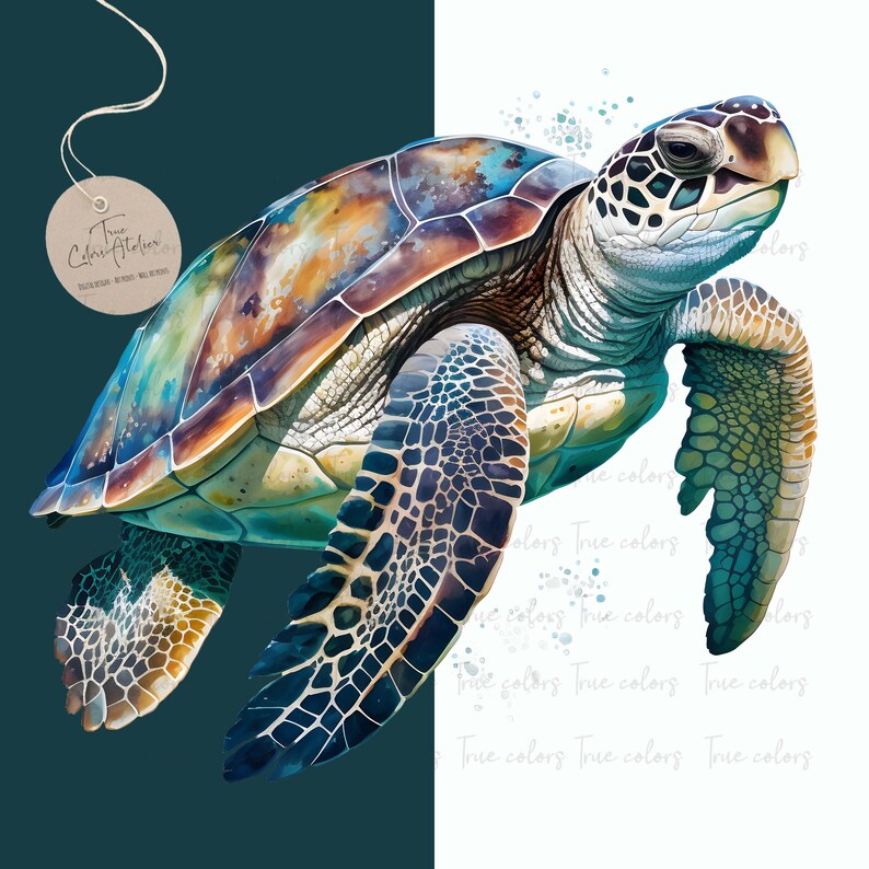 Watercolor Sea Turtle Clipart Cute Nautical Ocean Animals PNG Clip Art ...