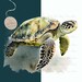 Watercolor Sea Turtle Clipart Cute Nautical Ocean Animals PNG Clip Art ...