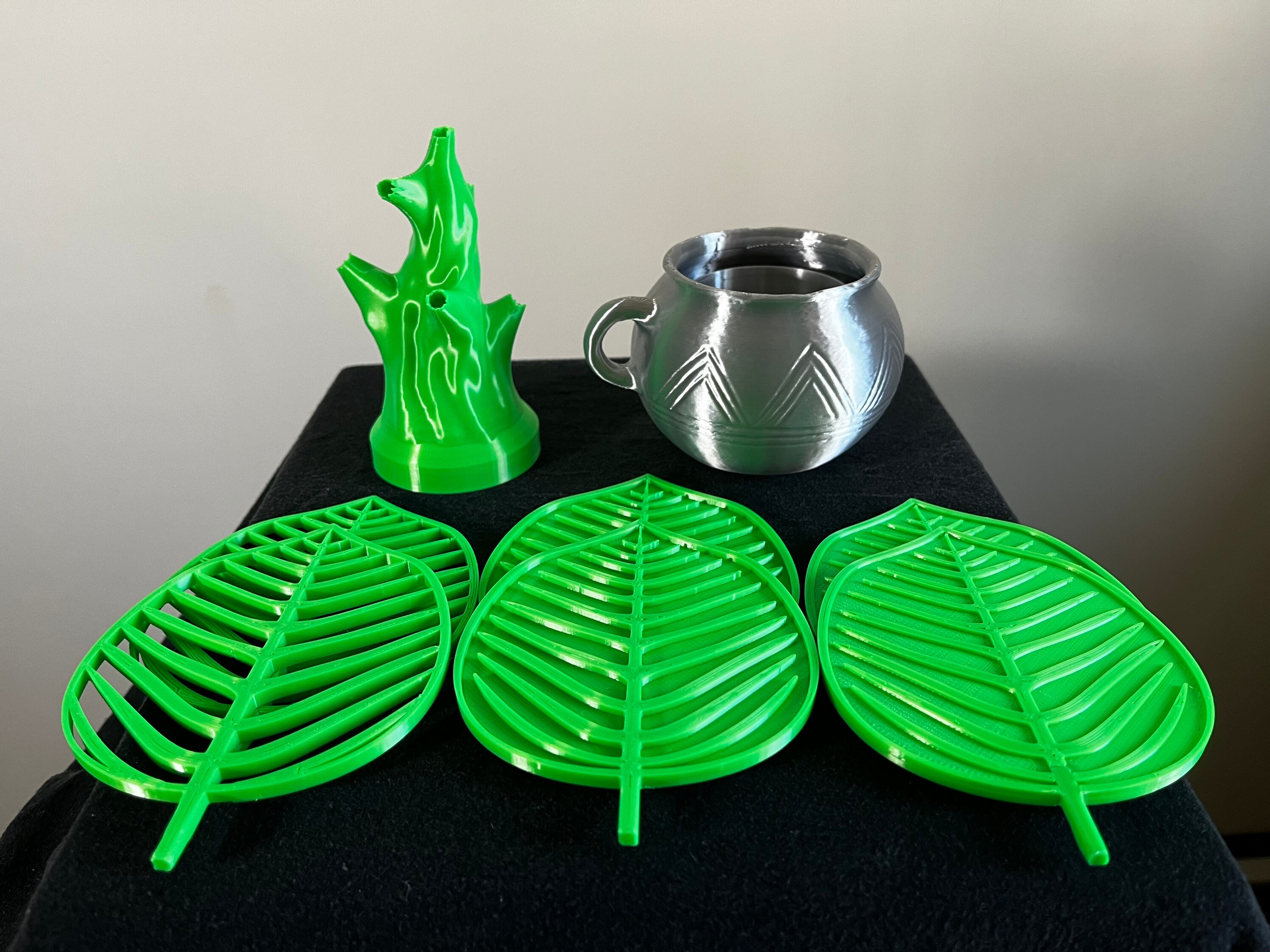 Bonsai Coaster Tree - Etsy