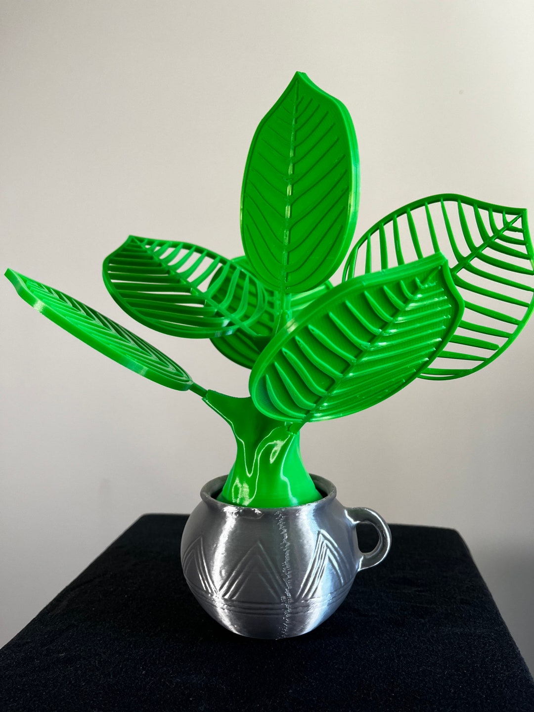 Bonsai Coaster Tree - Etsy