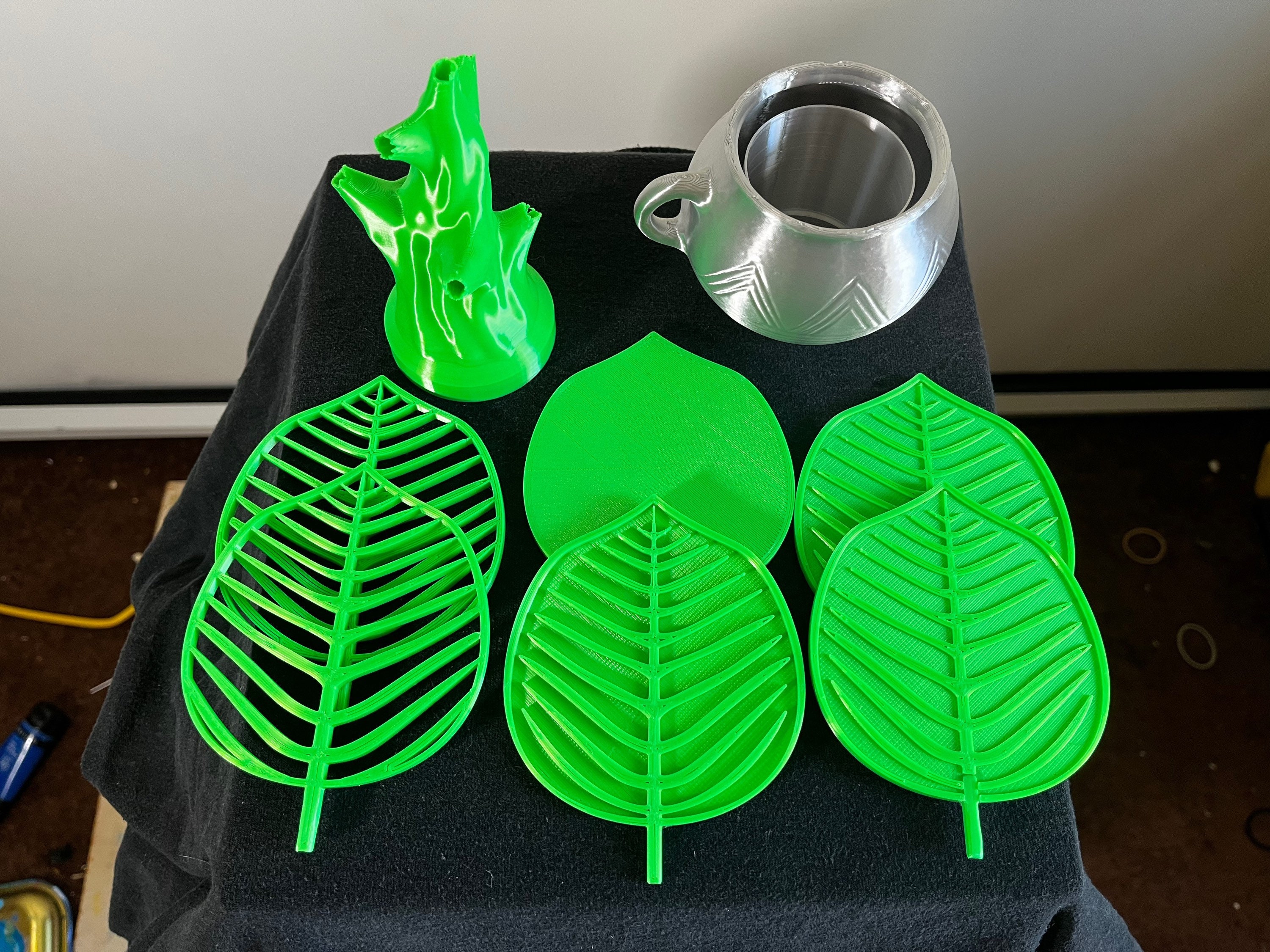 Bonsai Coaster Tree - Etsy