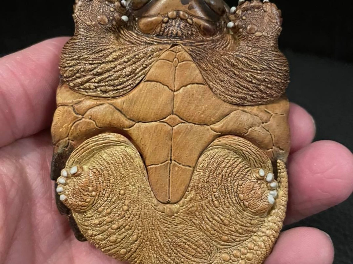 Custom Made Fat Alligator Snapping Turtle Super Q Resin Model | Etsy