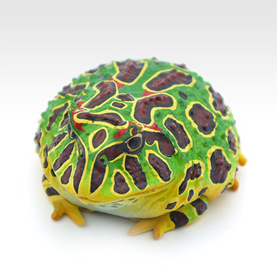 Japan Argentine Horned Frog PVC Mini Model Figure Figurine secret Item ...