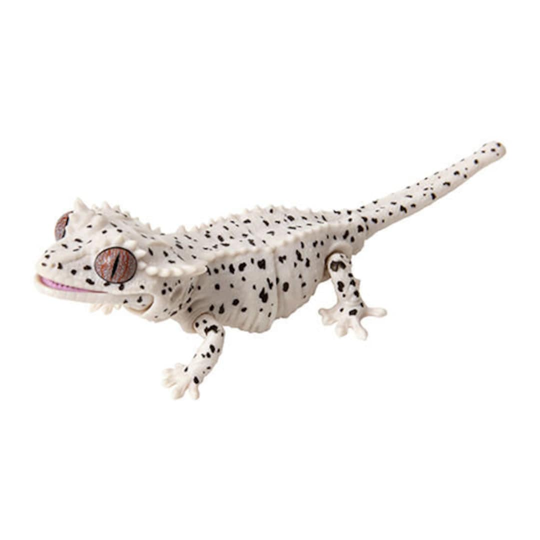 Japan Q Crested Gecko Lizard PVC Action Figure Model With Joints 10cm C ...