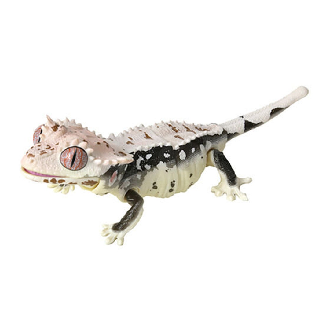 Japan Q Crested Gecko Lizard PVC Action Figure Model With - Etsy