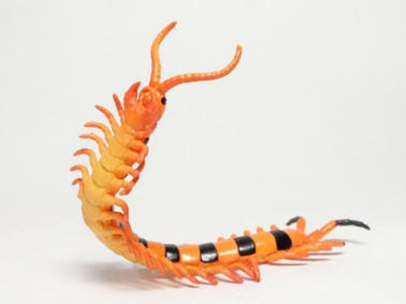 Indian Tiger Centipede Insect PVC Mini Figure Model Figurine - Etsy