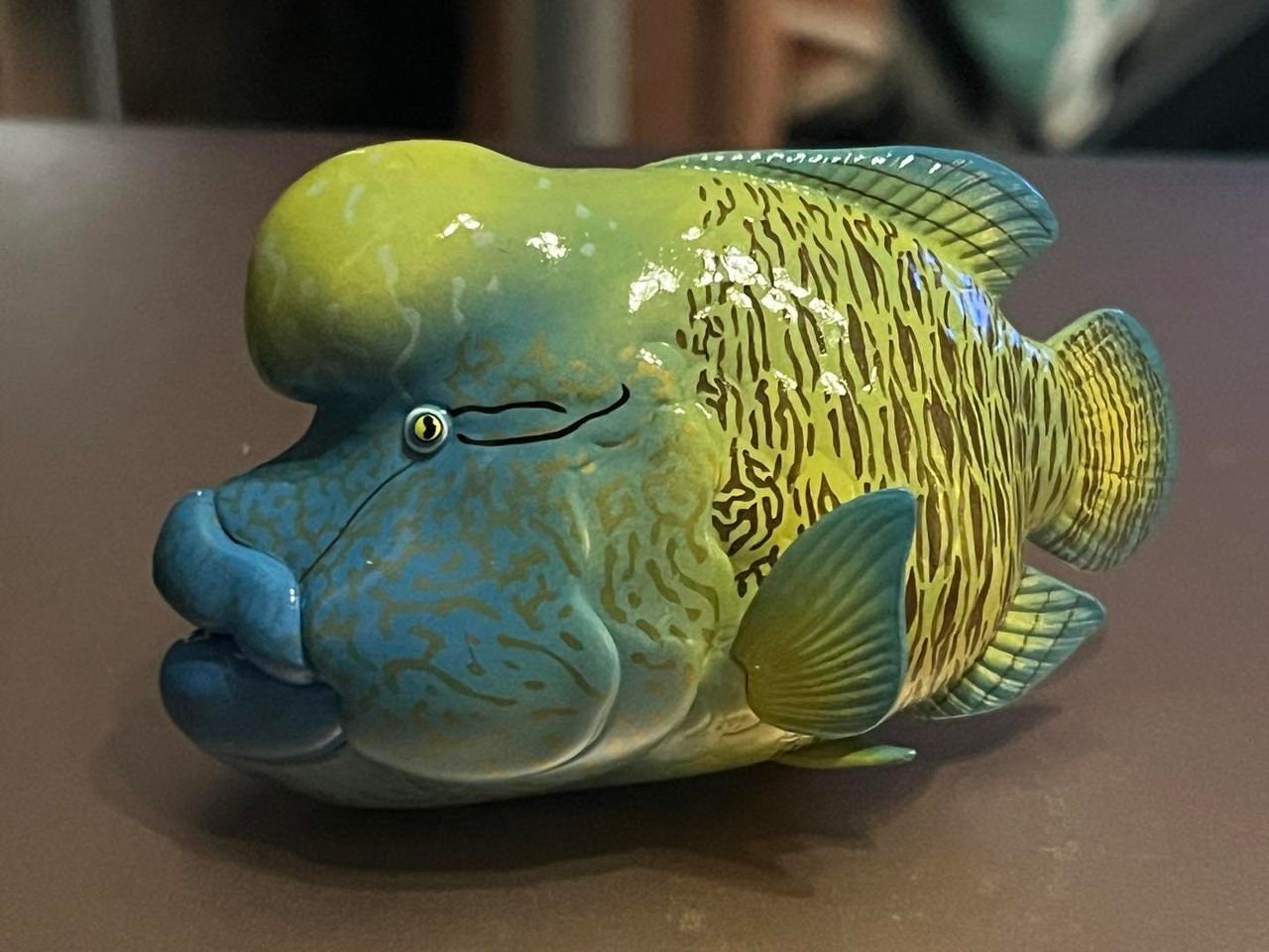 Humphead Wrasse Sketch