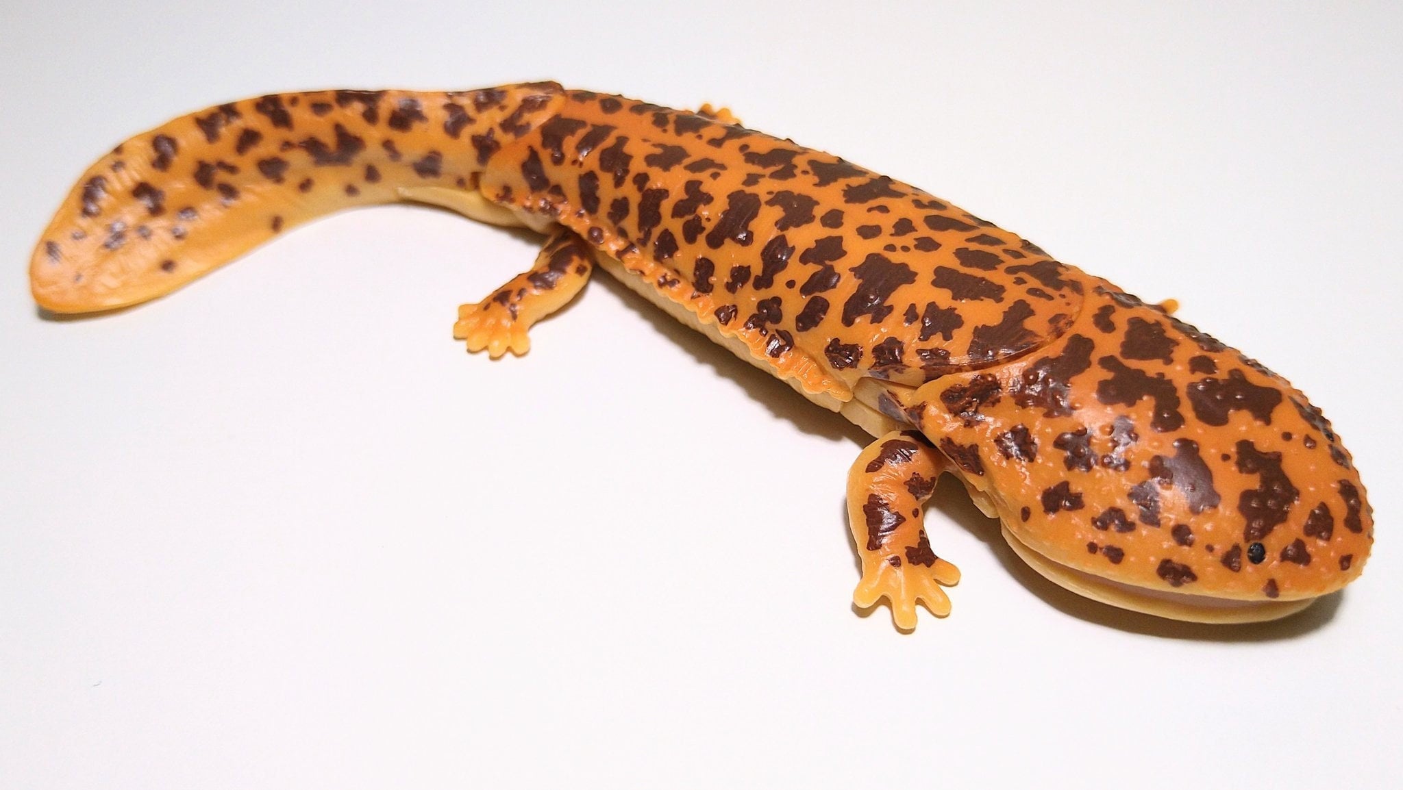 Japanese Giant Salamanders Drawings