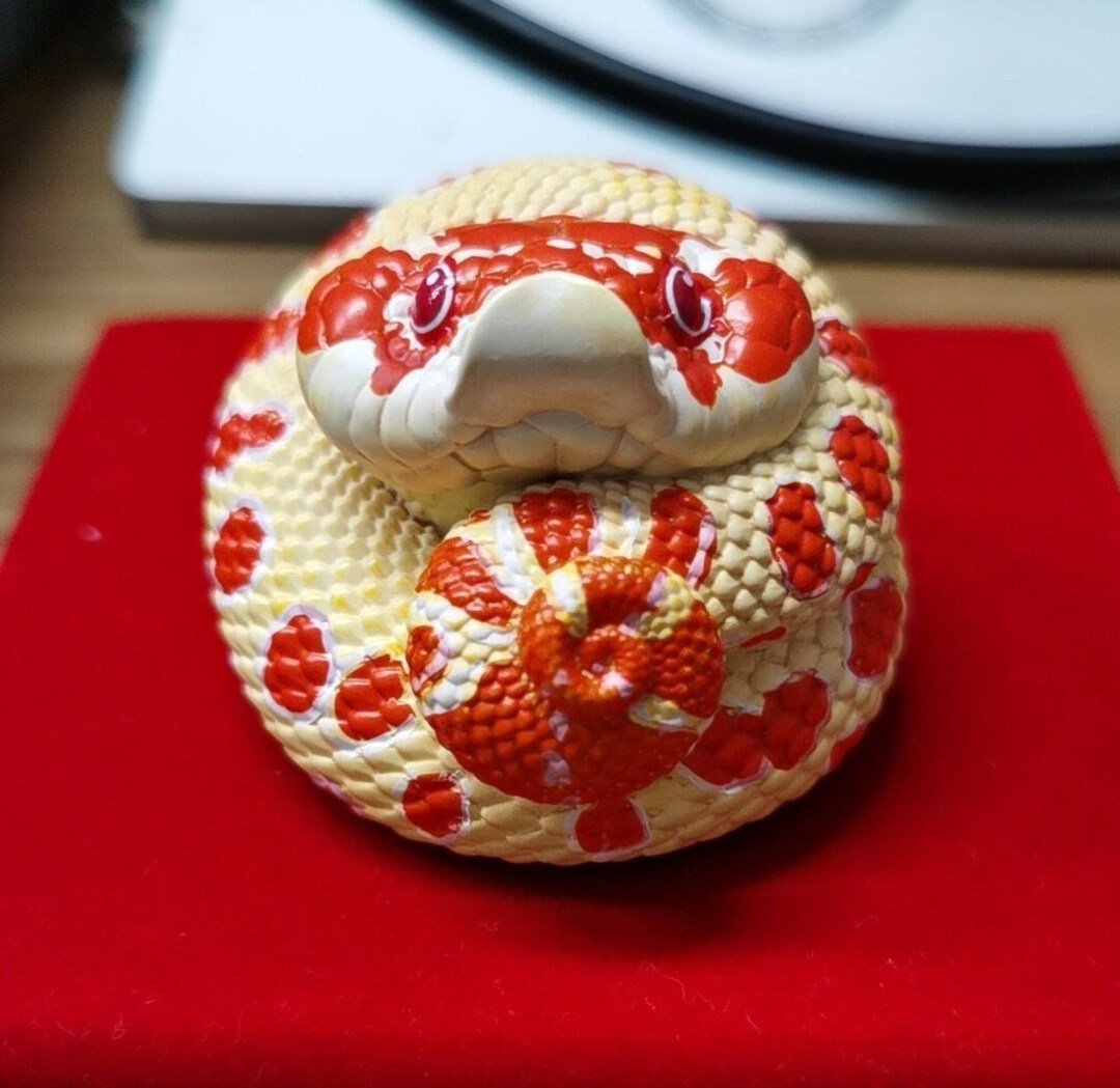 Albino Western Hognose Snake Super Q Resin Model Figure - Etsy Canada
