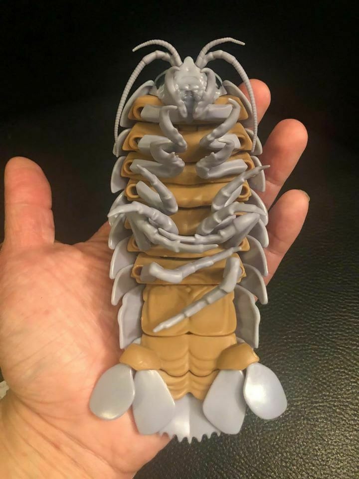 Giant Isopod Pet