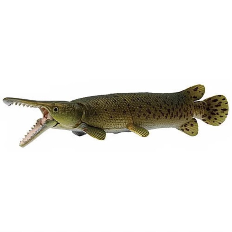 Alligator Gar Fish Garfish PVC Action Figure Model With Joints - Etsy ...