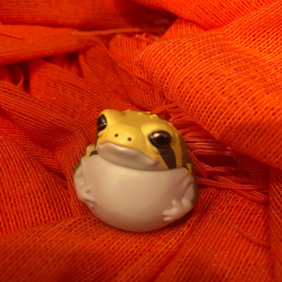 Common Bushveld Rain Frog PVC Mini Model Figure Roly Poly Toy A - Etsy