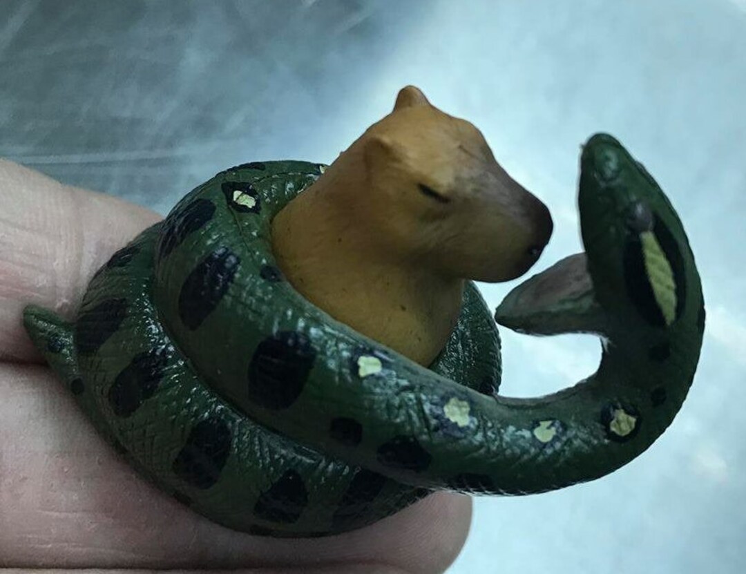 Capybara With Anaconda Animal Mini PVC Figurine Figure Model - Etsy