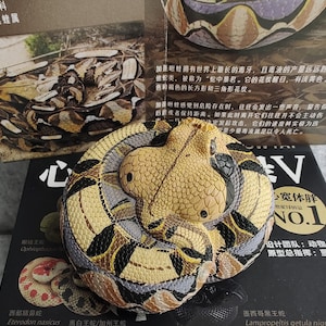 Gaboon Viper Snake Super Q Resin Model Figure Figurine - Etsy