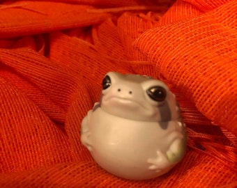 Common Rain Frog Plush - Etsy