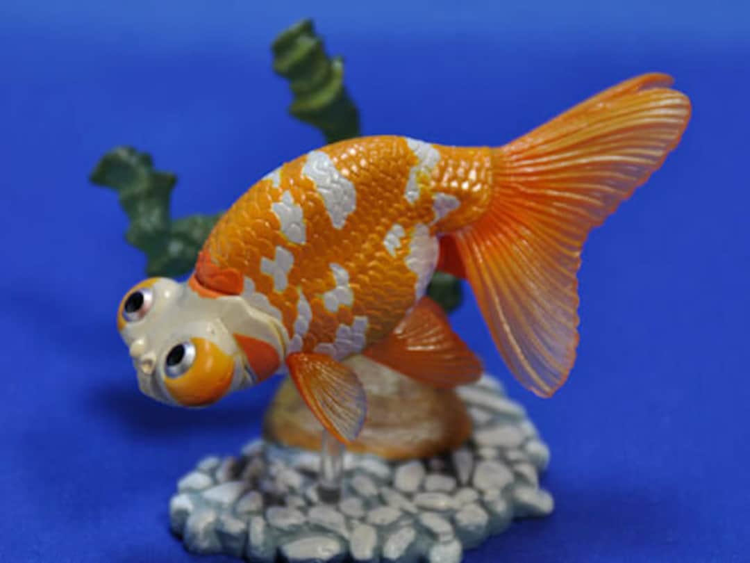 Celestial Eyed Goldfish