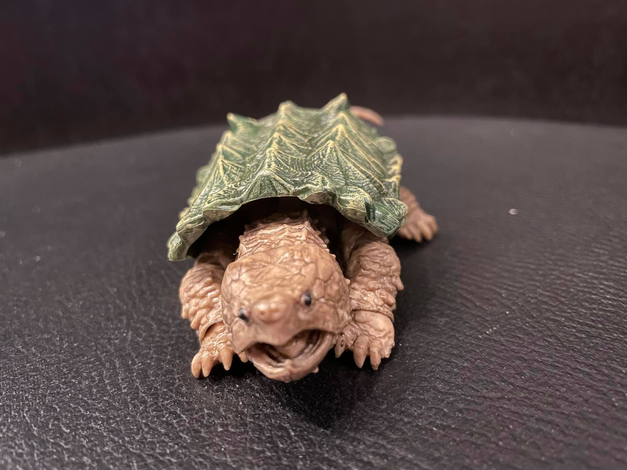 Alligator Snapping Turtle animal PVC Action Figure model with | Etsy
