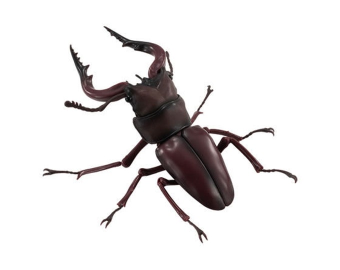 Red Sawtooth Stag Beetle Insect PVC Action Figure Model With Joints - Etsy