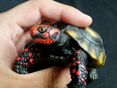 1:1 Life Size Red Footed Tortoise Turtle Replica Model | Etsy