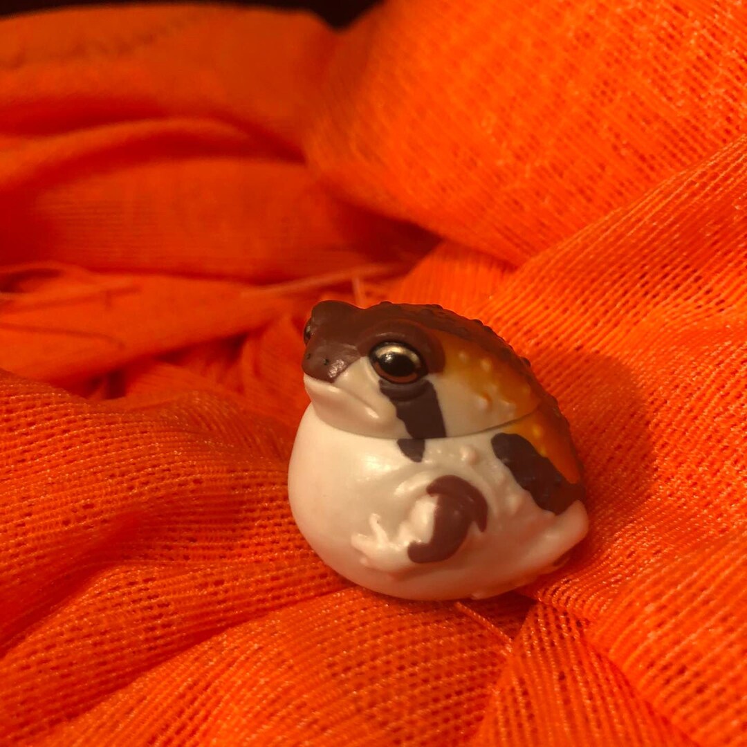 Common Bushveld Rain Frog PVC Mini Model Figure Roly Poly Toy D - Etsy