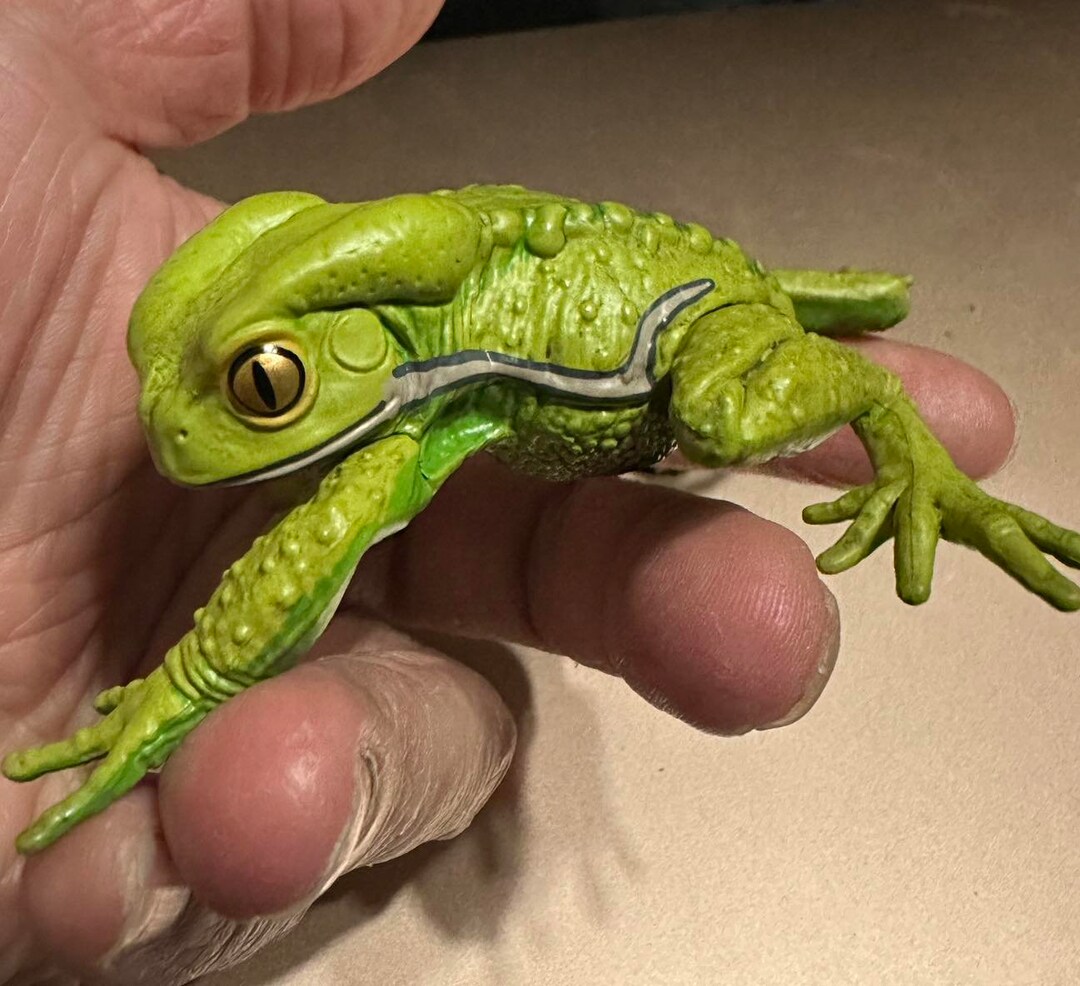 Waxy Monkey Tree Frog Toad PVC Figure Model Figurine Color B - Etsy UK