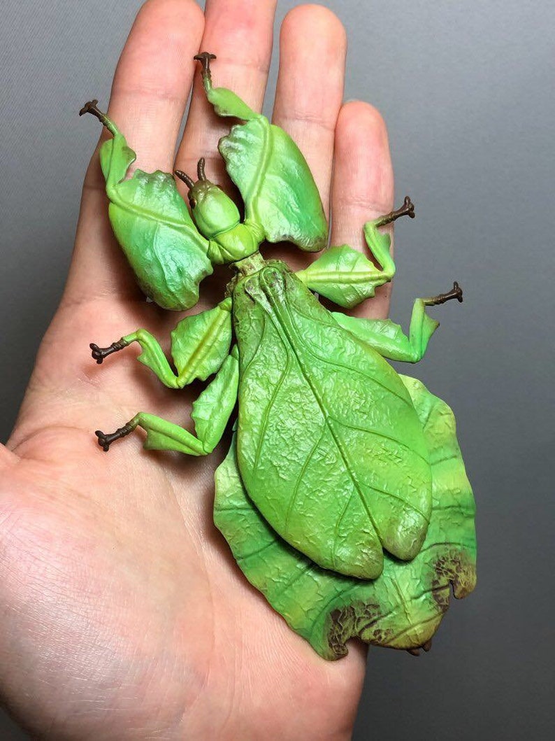 Japan Giant Malaysian Leaf Insect PVC Model Figure Figurine - Etsy